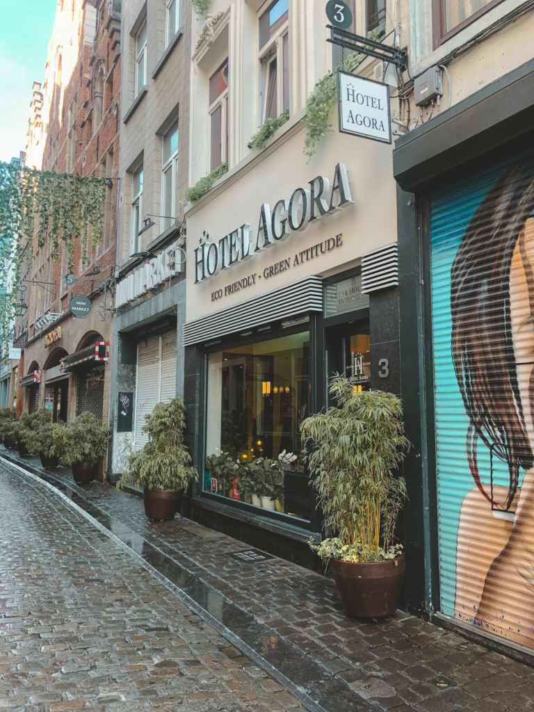 hotel-agora-brussels-travel-guide-1 - Naty Michele